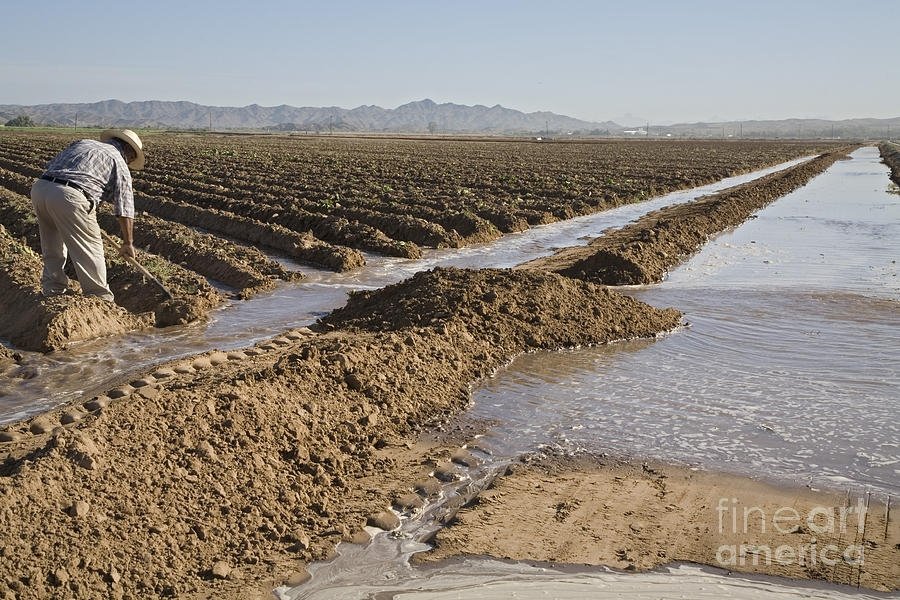 TURNING DESERTS INTO GARDENS (TDG)