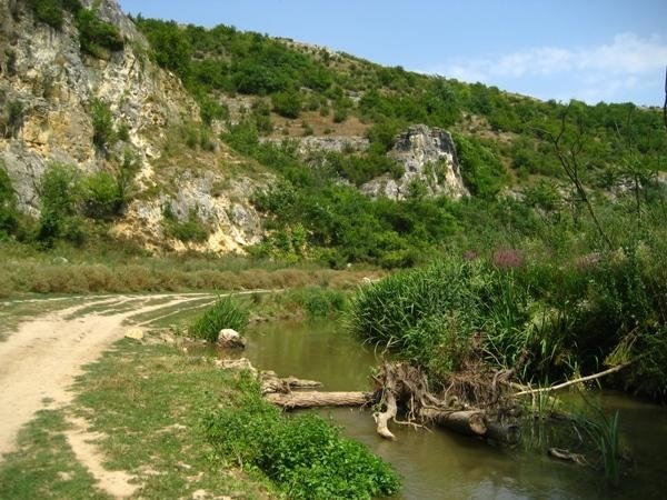 Бели Лом
